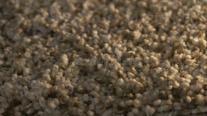 Macro Closeup Soft Beige Carpet Rug Texture Stock Image - Image of ...