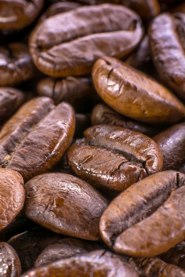 Macro of Coffee Grains of Elegant Composition Stock Image - Image of ...