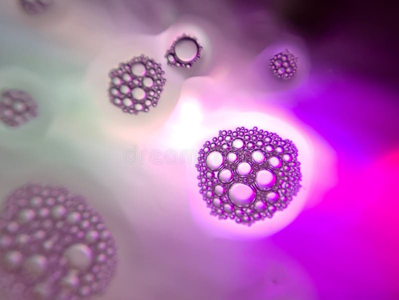 Macro Colorful Soap Bubbles Gradient Abstract Background Blue Pink ...