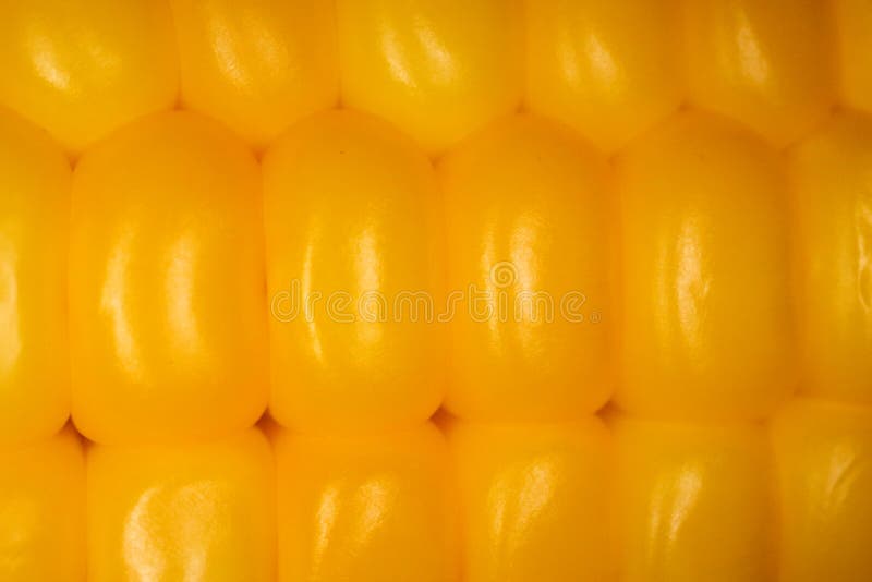 Macro Corn Kernels Closeup Texture Stock Image - Image of background ...