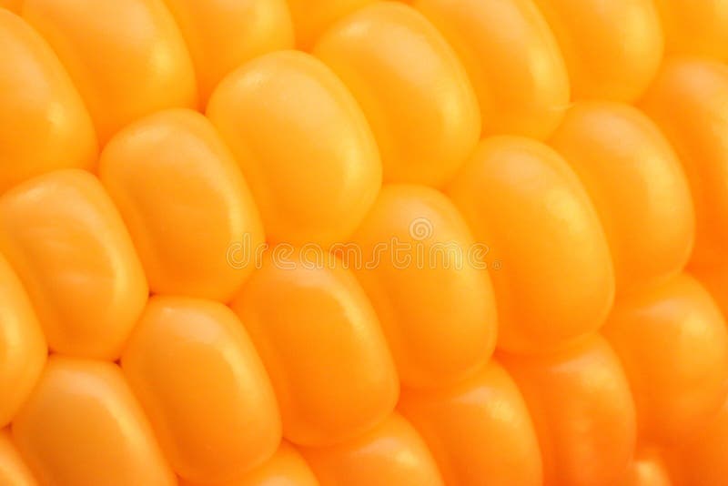 Macro Corn Kernels Closeup Texture Stock Image - Image of corn ...