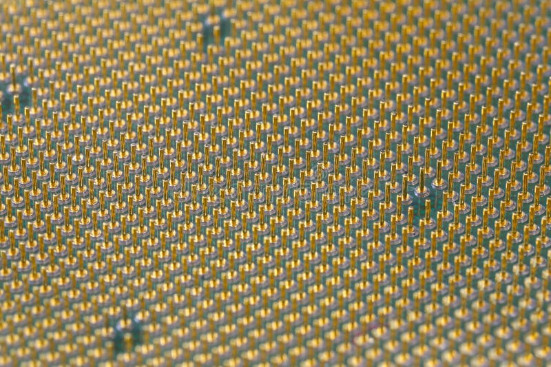 Macro of Cpu Gold Pins and Chip of Computer Stock Photo - Image of gold ...