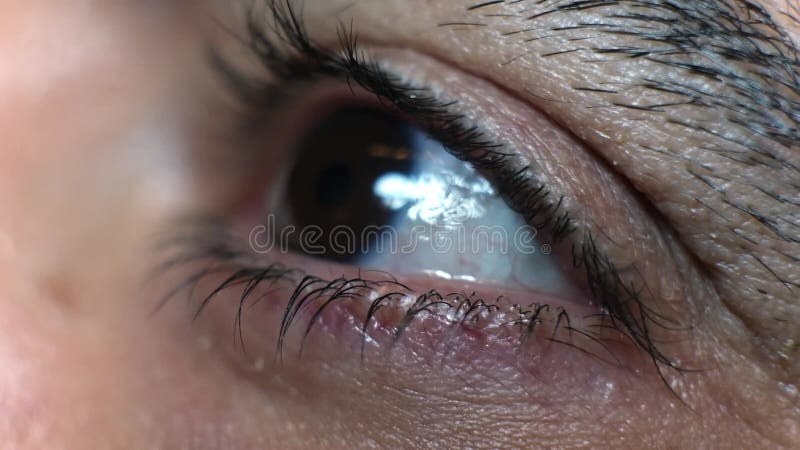 Macro Dark Brown Eye Opening and Blinking in Slow Motion. Man is ...