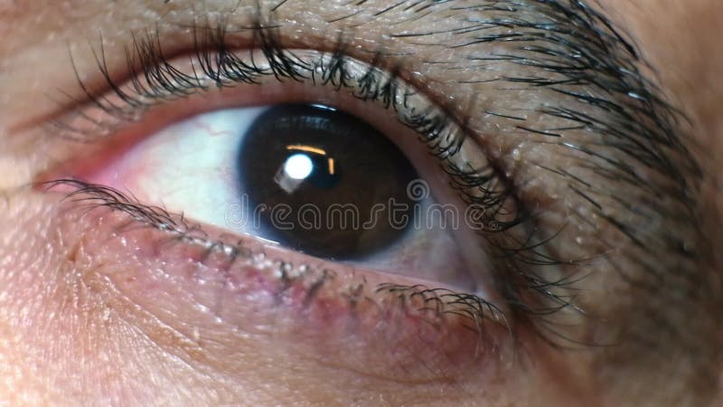 Macro Dark Brown Eye Opening and Blinking in Slow Motion. Man is ...