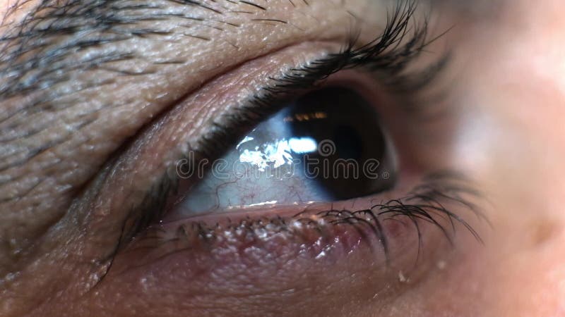 Macro Brown Eye Opening and Blinking in Slow Motion. Man is Opening and ...