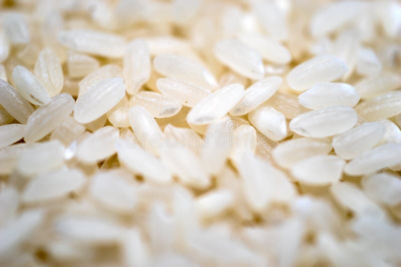 Macro De Grano Largo Del Arroz Imagen de archivo - Imagen de comida ...