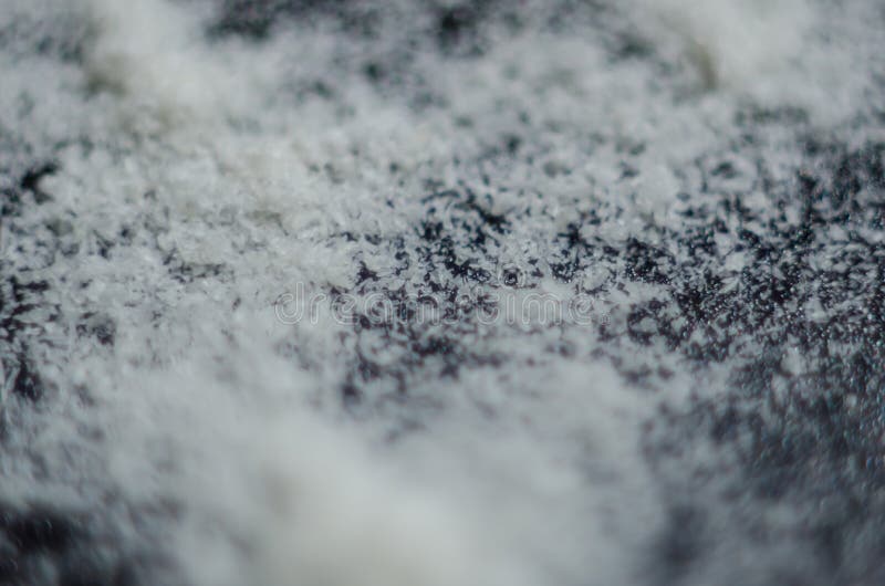 Macro De La Goma Del Xantano Imagen de archivo - Imagen de ingrediente ...