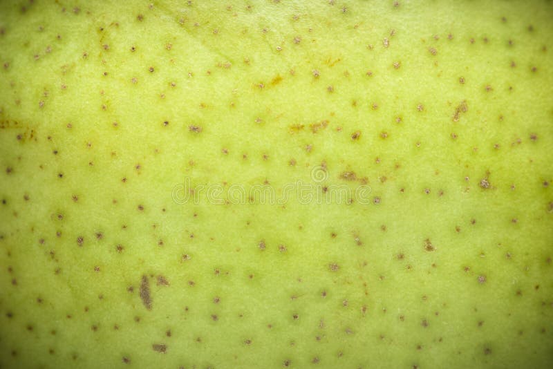 Macro De La Piel De Una Pera Foto de archivo - Imagen de contexto ...