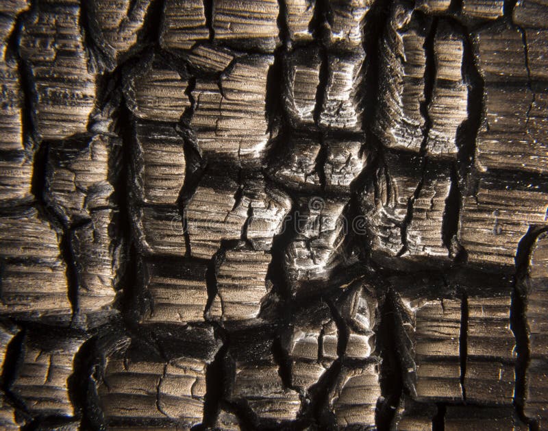 Textura De Madera Quemada Cerca, Primer, Madera Desnuda Imagen de ...