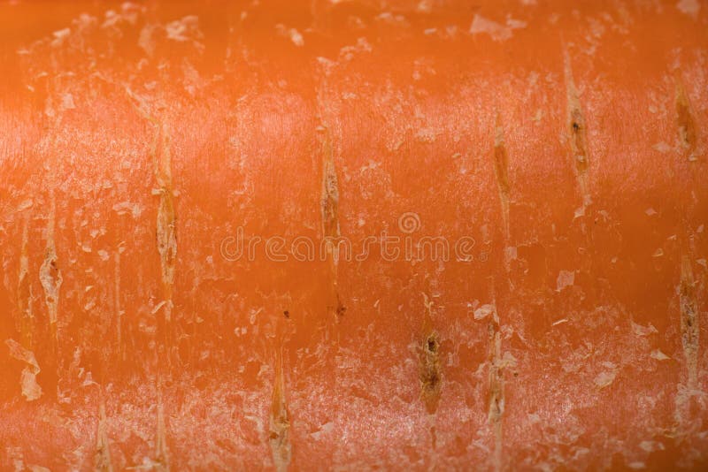 Macro De Peau De Carotte Pour Le Fond Image stock - Image du carottes ...