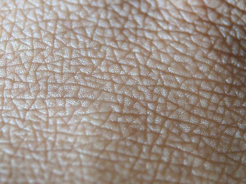 Macro De Textura De La Piel De La Mano Foto de archivo - Imagen de ...