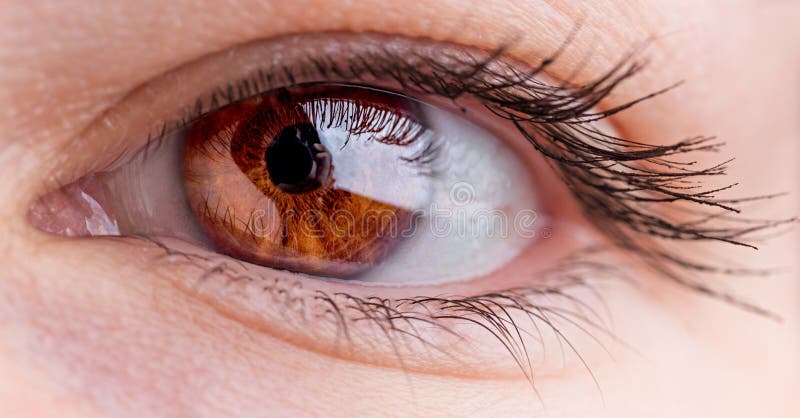 Ojos pardos hermosos imagen de archivo. Imagen de modelo - 83774181