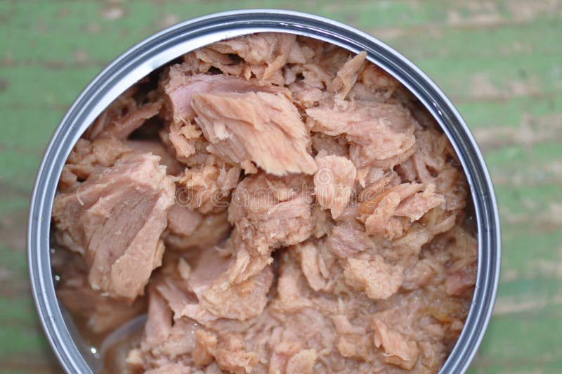 Tuna can stock photo. Image of lunch, fish, five, healthy - 113832540