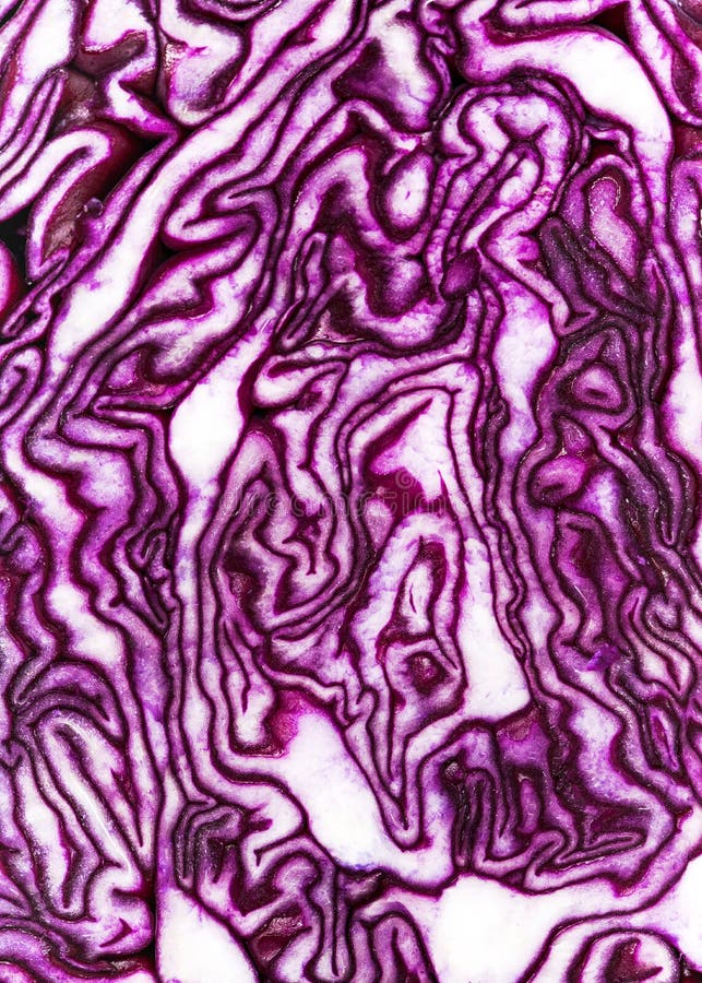 Macro Details of Half Raw Red Cabbage in Violet and White Colors. Stock ...