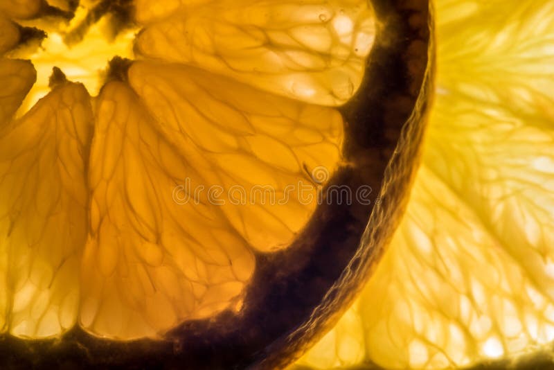 Orange with Backlight Closeup Stock Image - Image of fruit, detail ...
