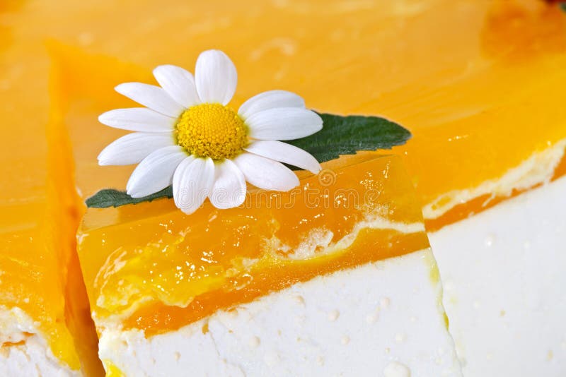 Macro Do Bolo Com Margarida Imagem de Stock - Imagem de delicioso, bolo ...