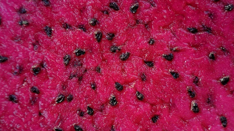 Macro of Dragon Fruit Slices Texture, Use for Nature Background Stock ...