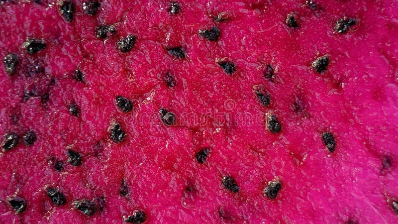 Macro of Dragon Fruit Slices Texture, Use for Nature Background Stock ...