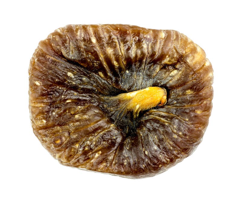 Macro of dried fig fruit stock photo. Image of breakfast - 48770064