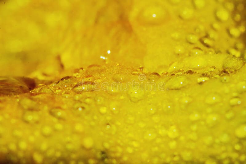 Drop and Yellow Beautiful Flower in Nature for Beautiful Background ...