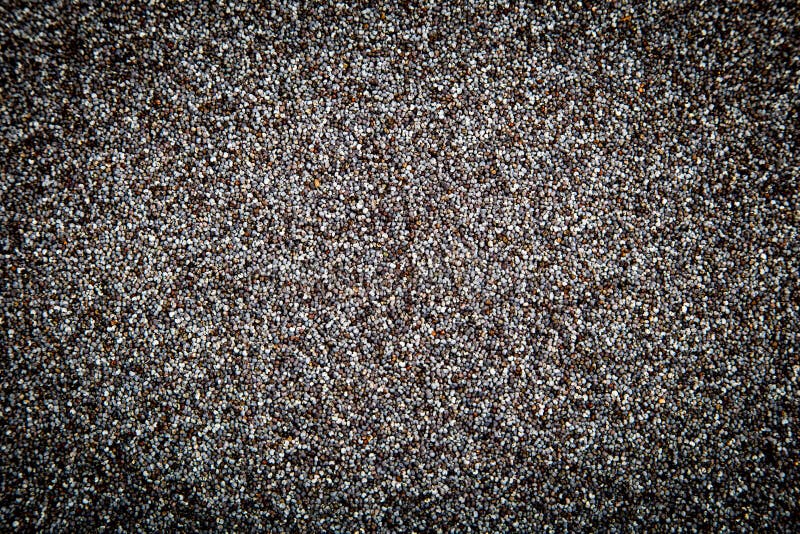 Macro Dry Gray Poppy Seeds Texture Stock Photo - Image of gray, seed ...