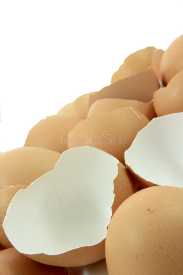 Macro Egg Shells 1 stock photo. Image of ellipse, empty - 57247148