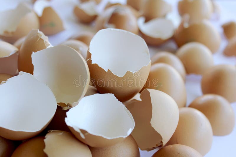 Macro Egg Shells 5 stock photo. Image of breakfast, protein - 57247310