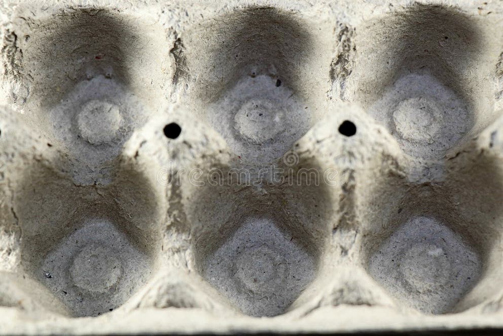 Macro of an empty egg tray stock photo. Image of business - 182871648