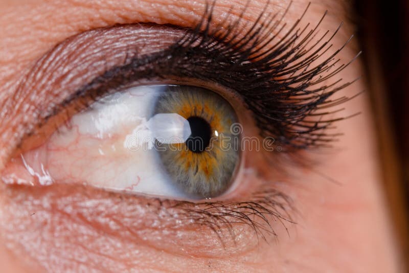 Macro Eye stock image. Image of closeup, care, clean - 13248595
