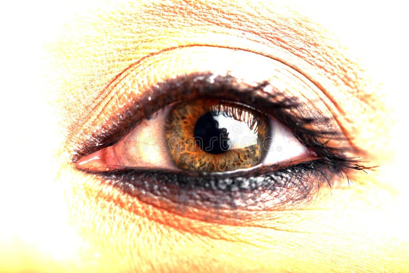 Macro Of Eye Picture. Image: 5530120