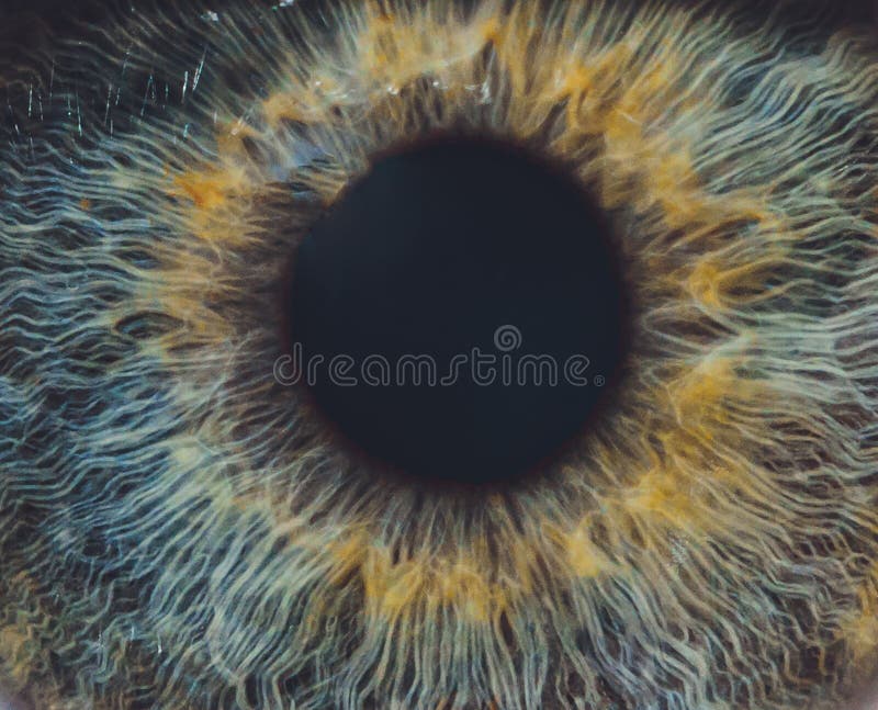 Eye closeup (B&W) stock photo. Image of female, glare - 5545720