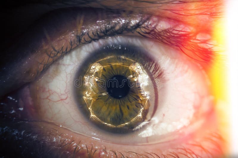 Skeleton Reflection in Puddle Stock Photo - Image of skeleton, surreal ...