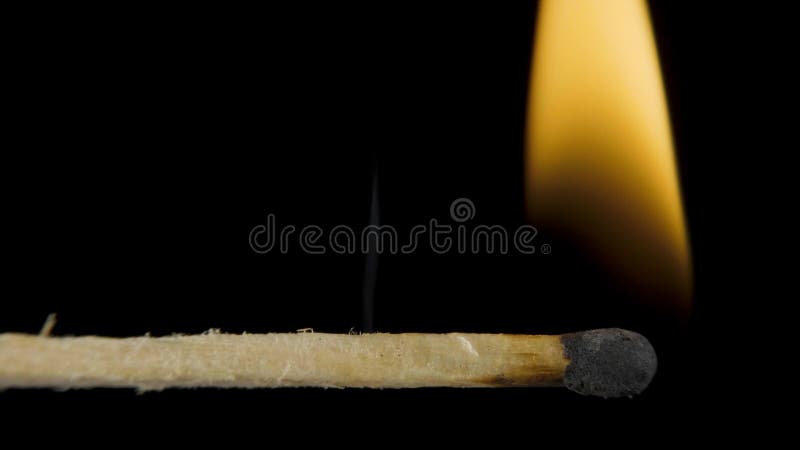 Macro Fire Burning on Matchstick, Studio Shot Isolated on Black ...