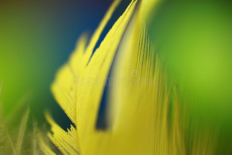 Purple Small Flover Macro Stock Photos - Free & Royalty-Free Stock ...