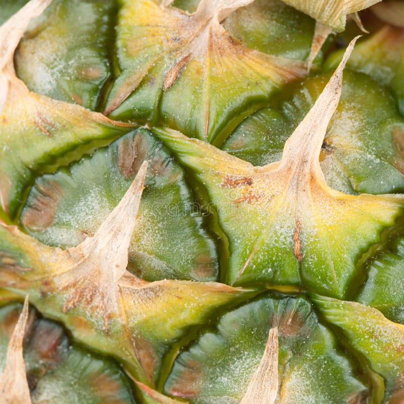 Macro Food Collection - Strawberry Stock Image - Image of sweet, fruit ...
