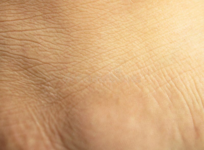 Human skin texture stock photo. Image of dark, close - 59256368