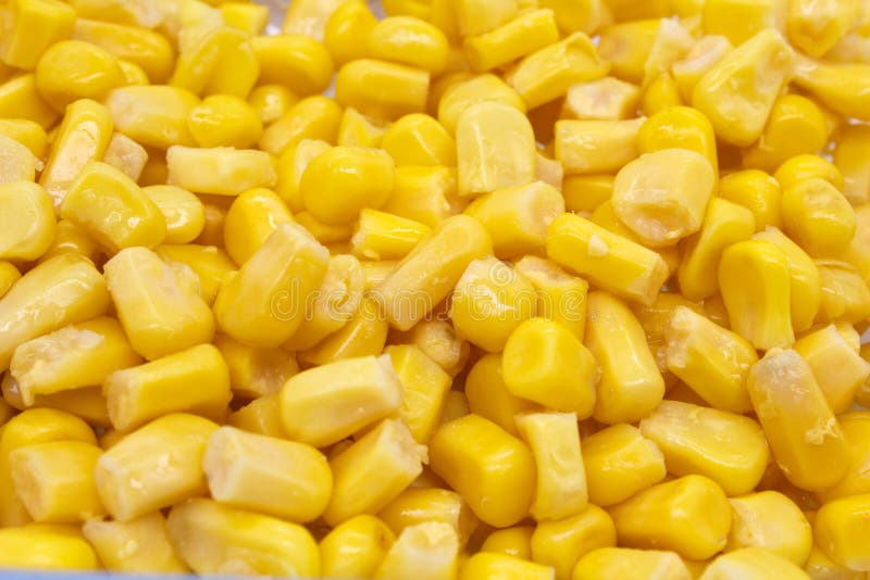 Kernels of cooked corn stock photo. Image of nutritious - 6608024