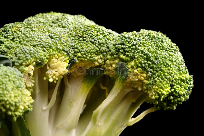 Macro of Fresh Ripe Broccoli Isolated on Black Stock Photo - Image of ...