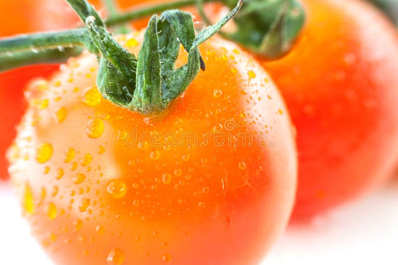 Macro Fresh Tomato and Bubble Stock Photo - Image of leaf, nutritious ...