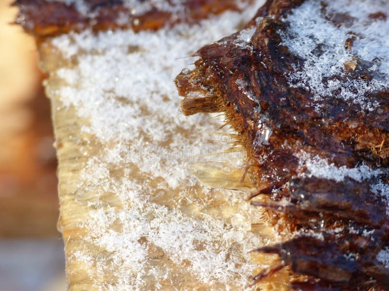 Macro Frozen Log stock image. Image of close, macro, frost - 95997939