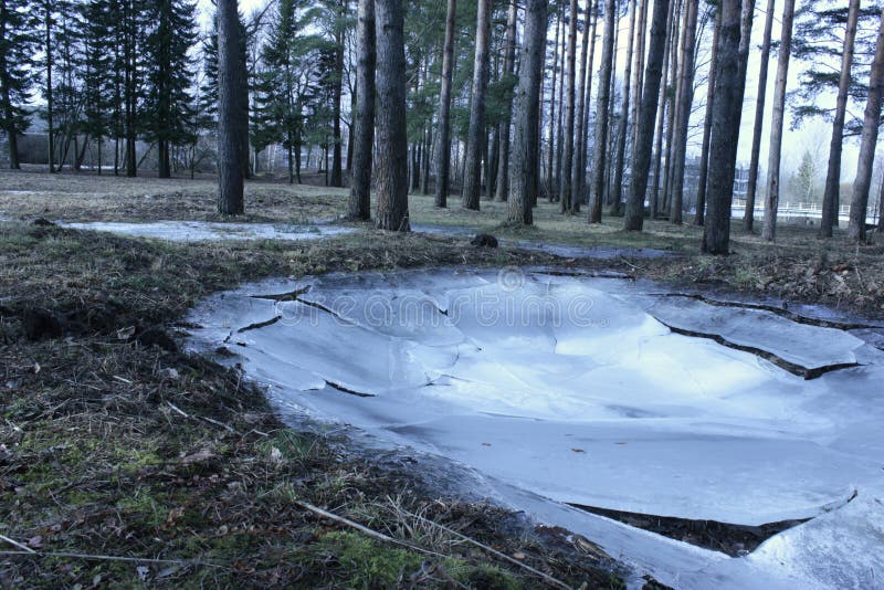 Macro Frozen Puddle in the Park Stock Photo - Image of snow, nature ...