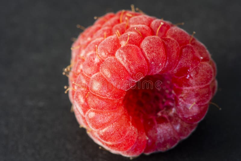 Macro Fruit: Ripe Raspberry Extreme Close-up, Black Background ...