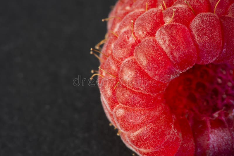Macro Fruit: Ripe Raspberry Extreme Close-up, Black Background ...