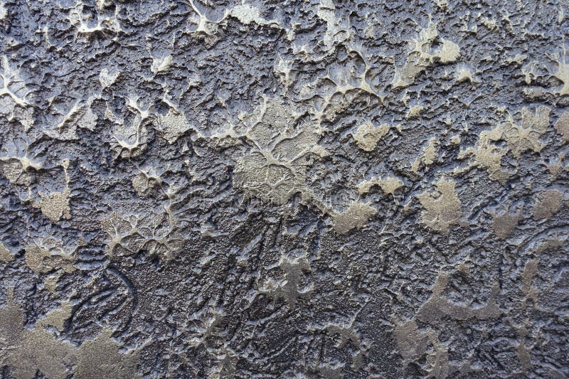 Macro Gray Gold Wall Decorative Stucco Finish Stock Photos - Free ...