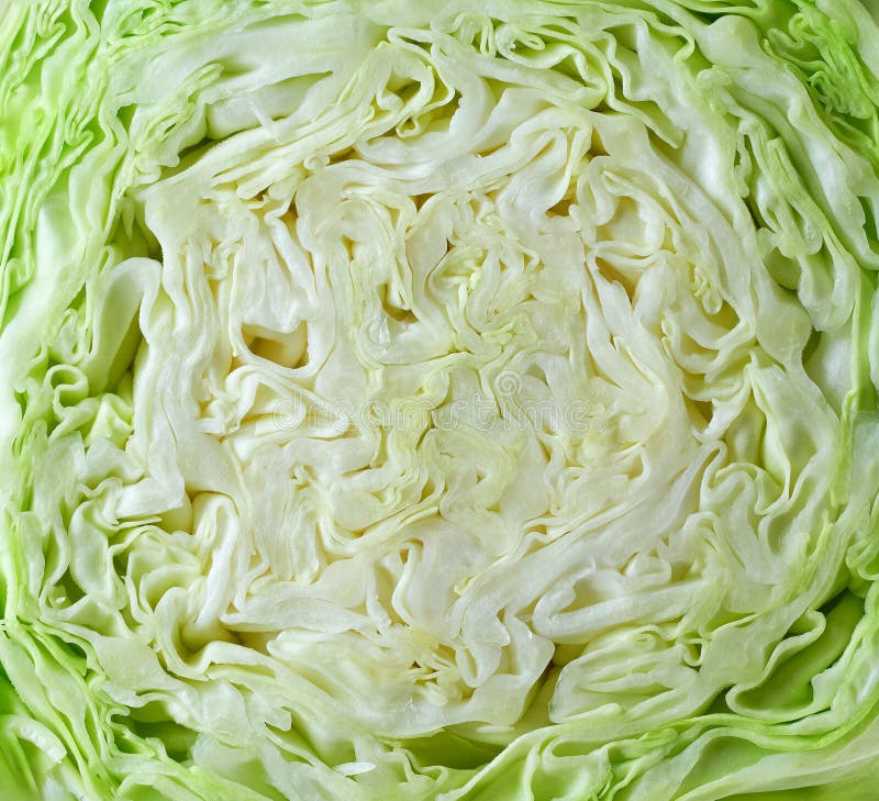 Macro Green Cabbage Texture Close Up Stock Photo - Image of vegetable ...