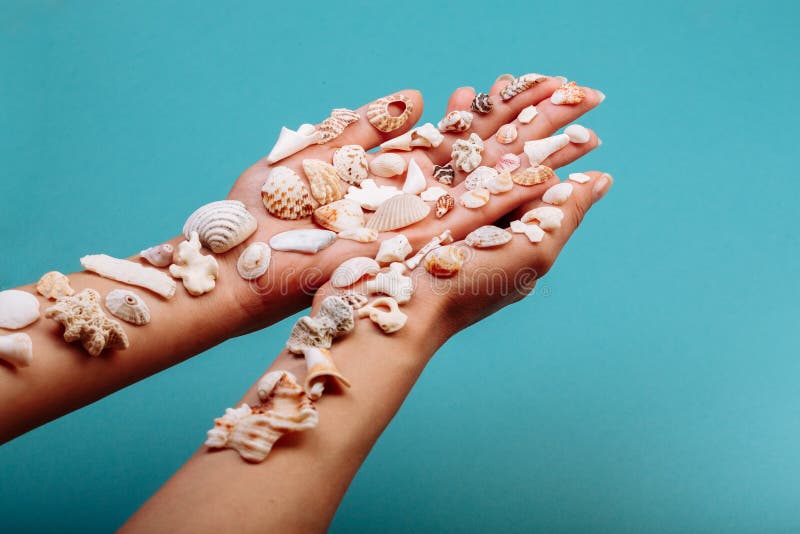 Macro of Hand Holding Different Kinds of Seashells, Corals in Front of ...