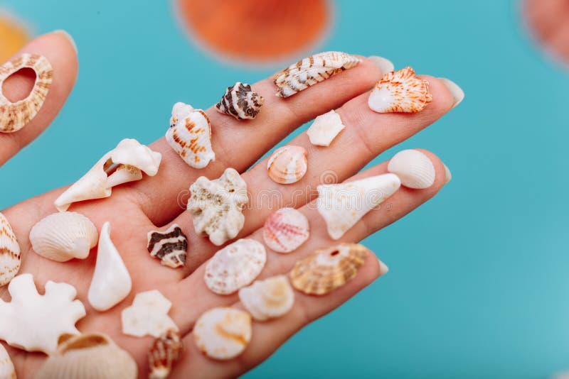 Macro of Hand Holding Different Kinds of Seashells, Corals in Front of ...
