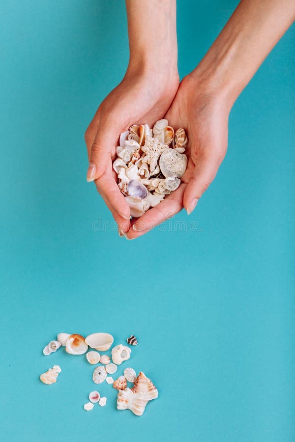 Macro of Hand Holding Different Kinds of Seashells, Corals in Front of ...
