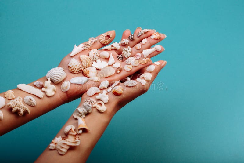 Macro of Hand Holding Different Kinds of Seashells, Corals in Front of ...