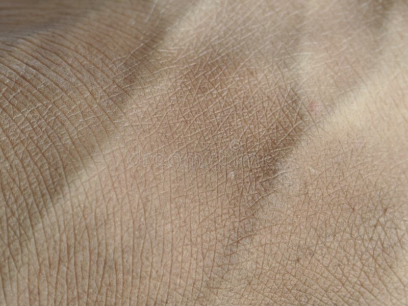 Macro of hand skin texture stock photo. Image of pattern - 263323510